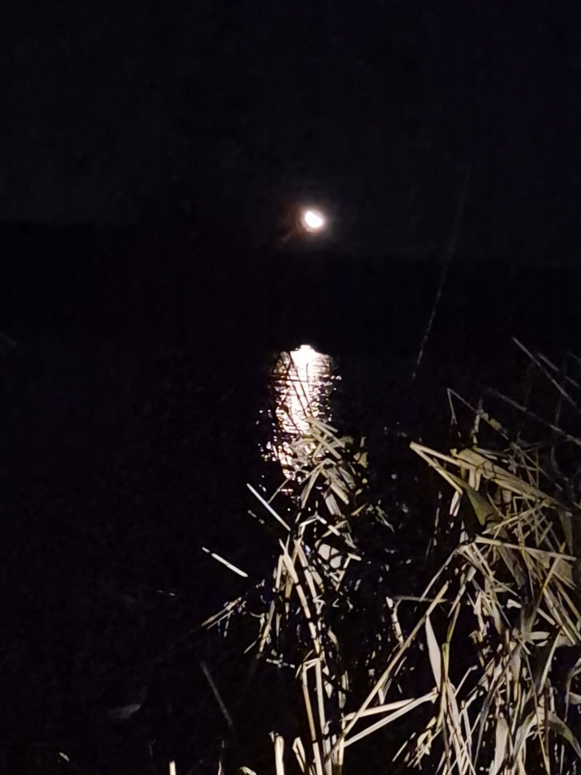 Naktiniai Vangai - breambandits.eu